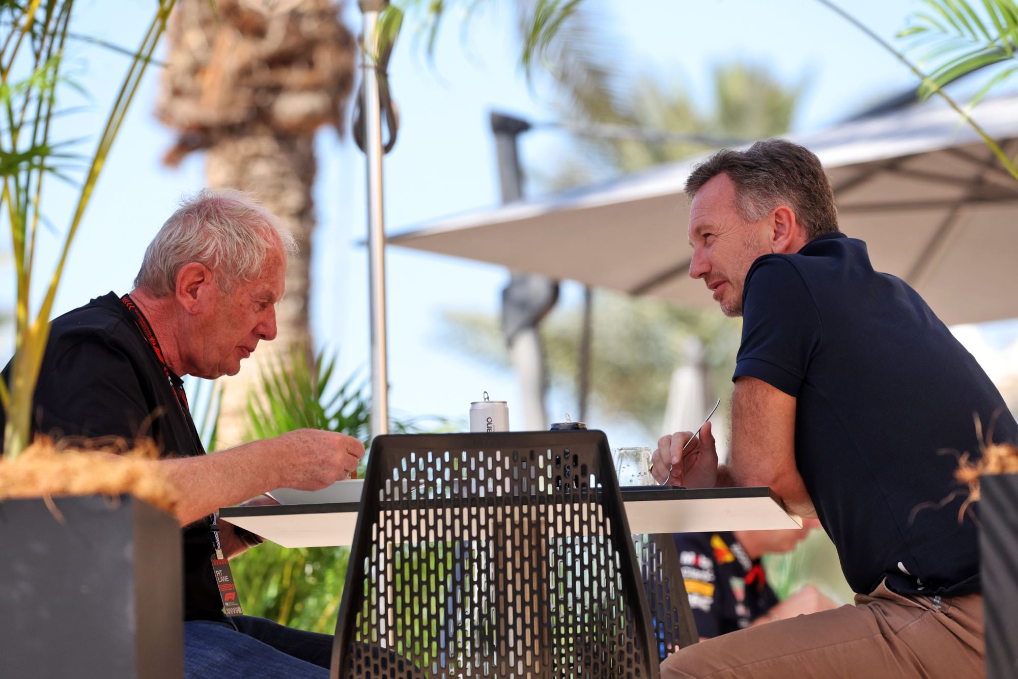 F1: Red Bull tem "trégua" interna para focar no campeonato